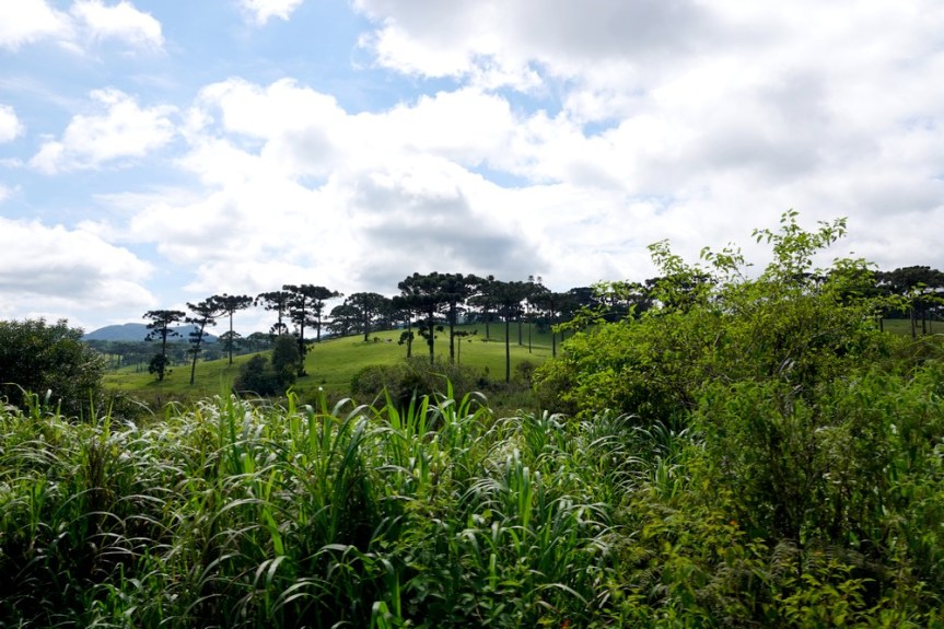 De Curitiba à Morretes, à bord du Serra Verde Express : un magnifique ...