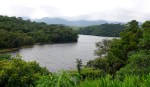 De Curitiba à Morretes, à bord du Serra Verde Express : un magnifique ...