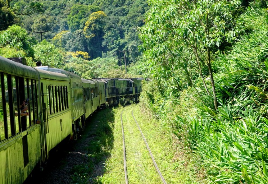 De Curitiba à Morretes, à bord du Serra Verde Express : un magnifique ...